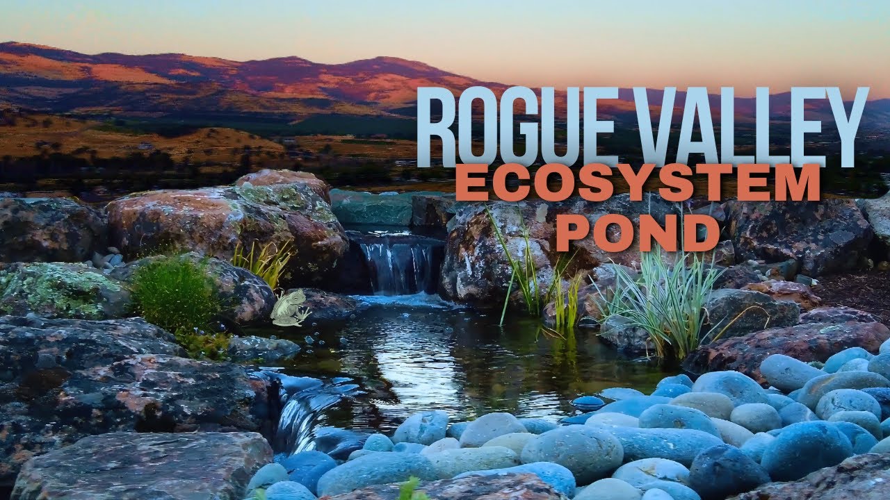 Rogue Valley Ecosystem Pond [ Build & Reveal ] - YouTube