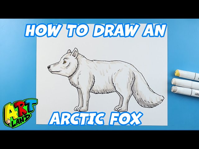 How To Draw An Arctic Fox Easy Step By Step