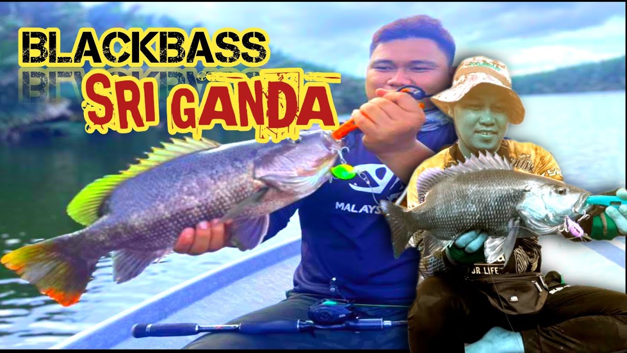 trip SRI GANDA DAY 2 28/05/2023 #KANAI #TEMAING #TEMBARING #BLACKBASS ...