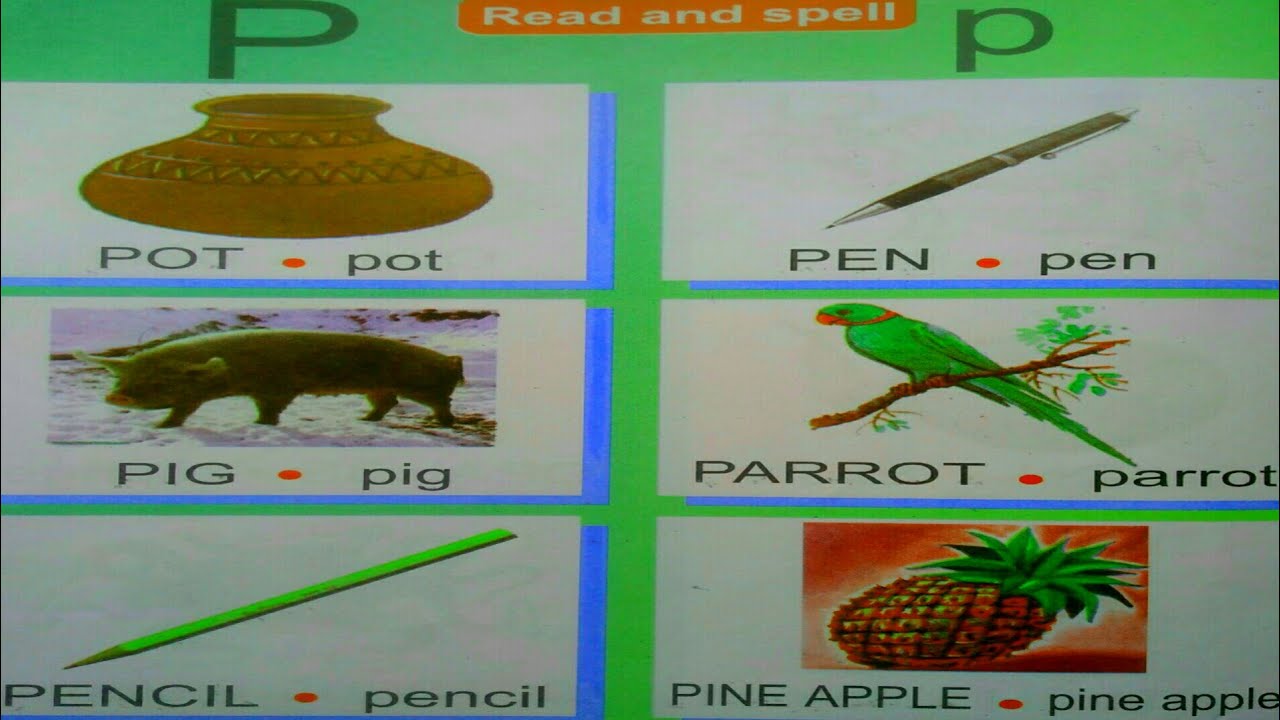 P For Words/P For Parrot /P For Words In English/P For Words With ...