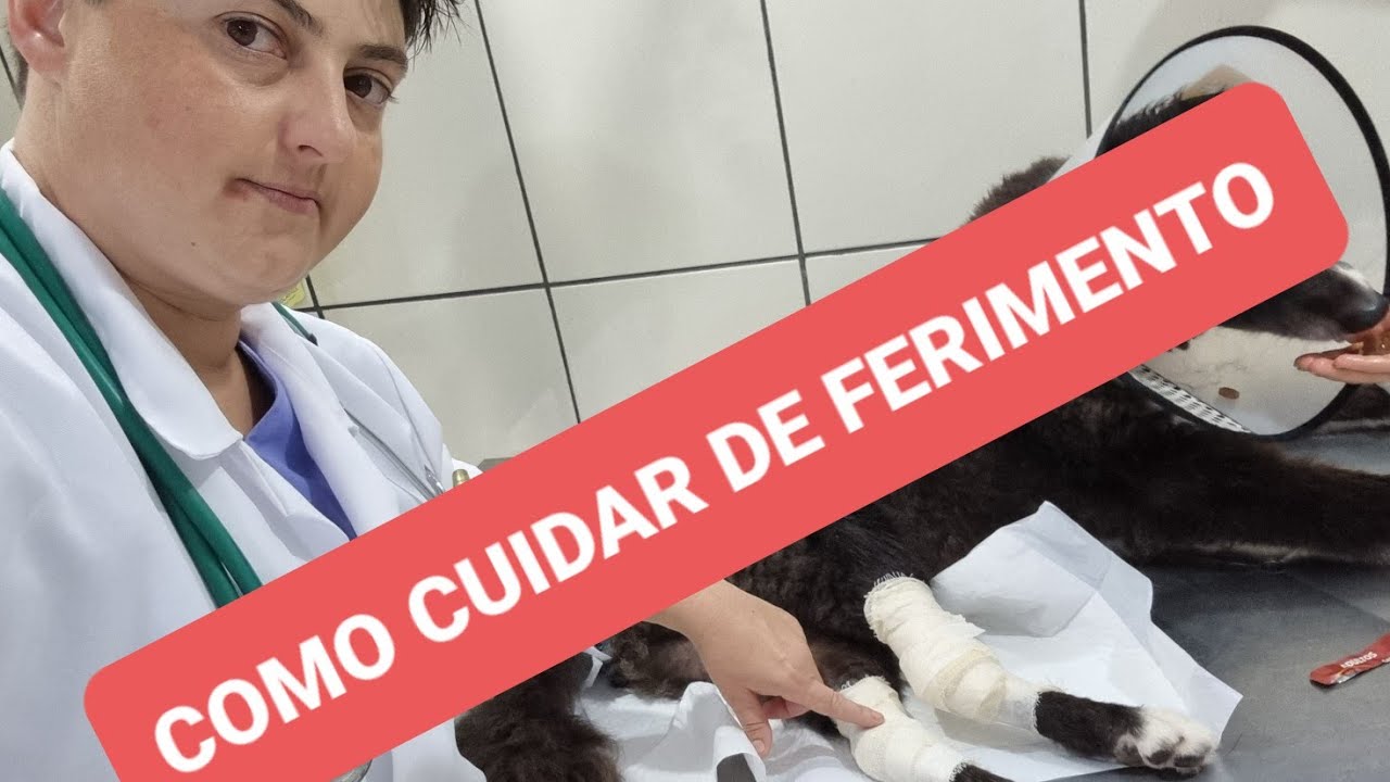 LIMPEZA DE FERIDA EM ANIMAIS - YouTube