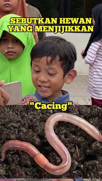 SEBUTKAN HEWAN YANG MENJIJIKKAN - YouTube