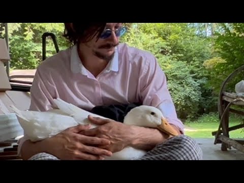 Wrinkle the Duck wants a Hug - YouTube