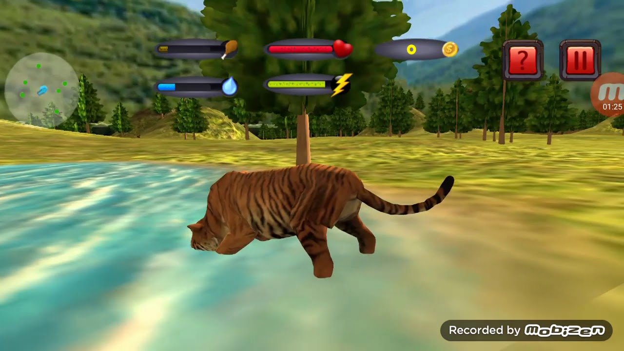 Ultimate Tiger Family Wild Animal Simulator Games #Android - YouTube
