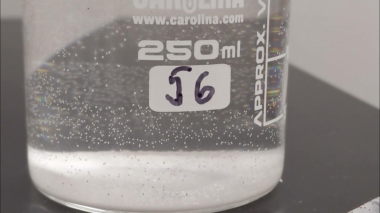 Brine Shrimp Hatch -- A Qualitative Observation in Varying Salt ...