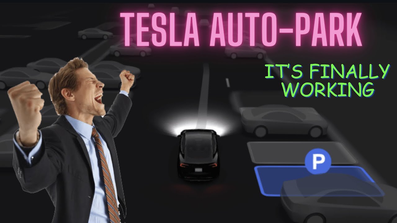 My Tesla Can Finally Park Itself!! Auto-Park First Try | Teslavian ...