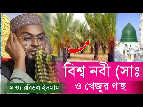 বিশ্ব নবী সাঃ ও খেজুর গাছের করুন ঘটনা! মাওঃ রবিউল ইসলাম সাহেব! Bangla waz by Robiul Islam 2023
