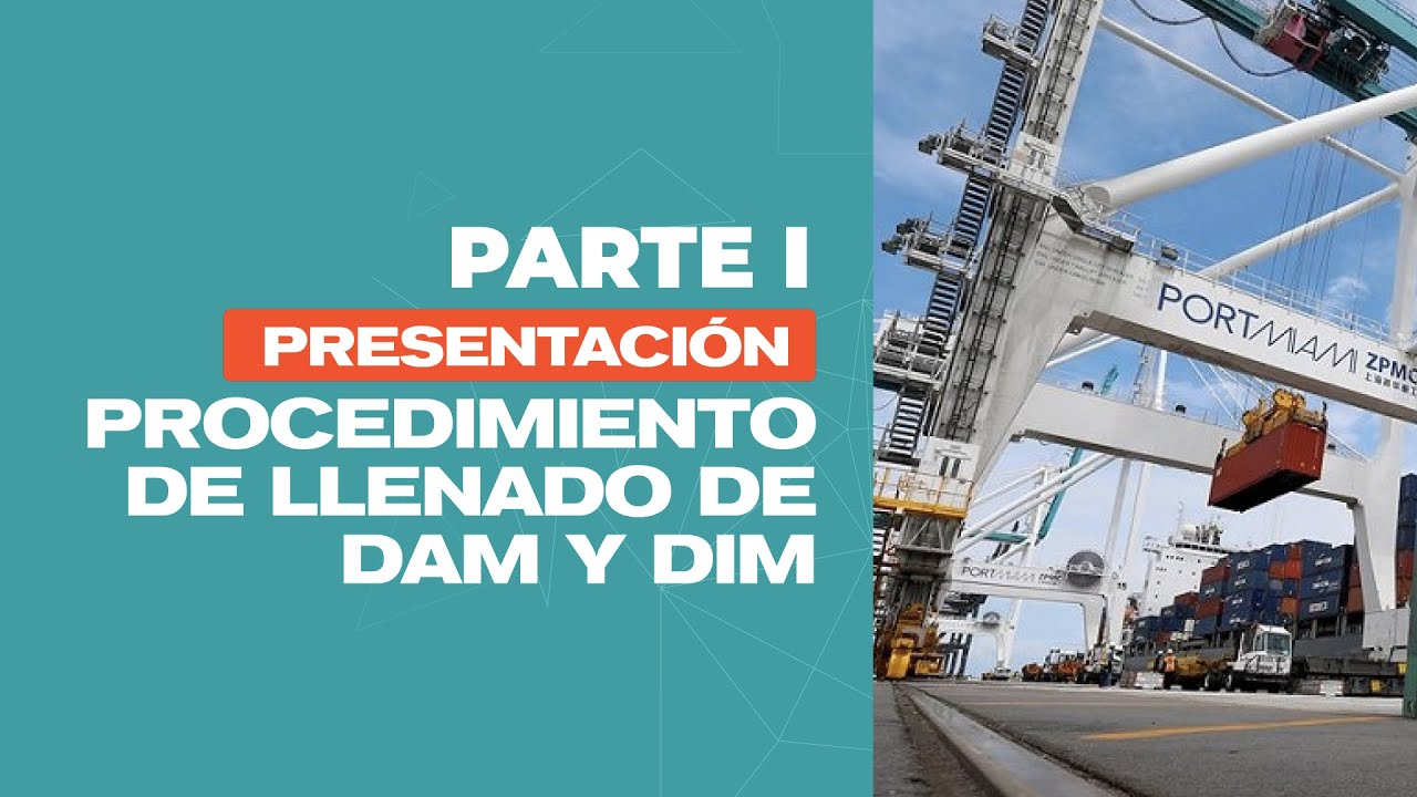 PROCEDIMIENTO DE LLENADO DE DAM Y DIM | PARTE 1 - YouTube