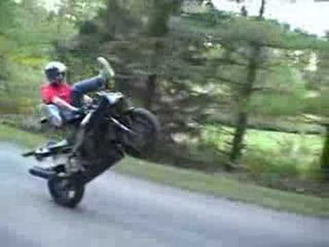 Wild Wheelies - YouTube