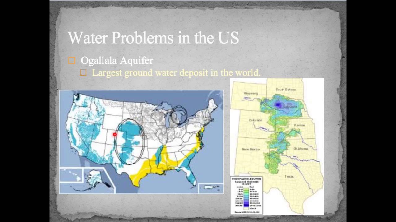 APES CH 13 C.mov - YouTube