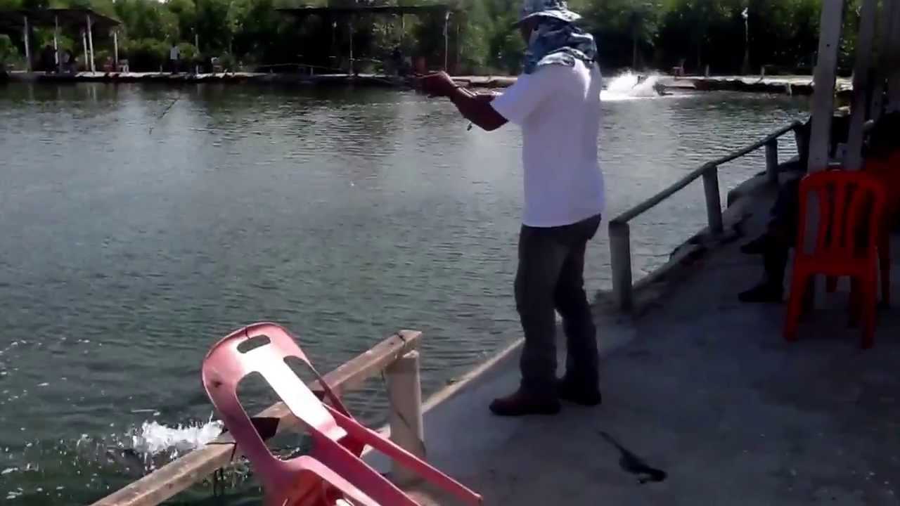 Kolam New Vision sementa - Senangin Taiwan - YouTube
