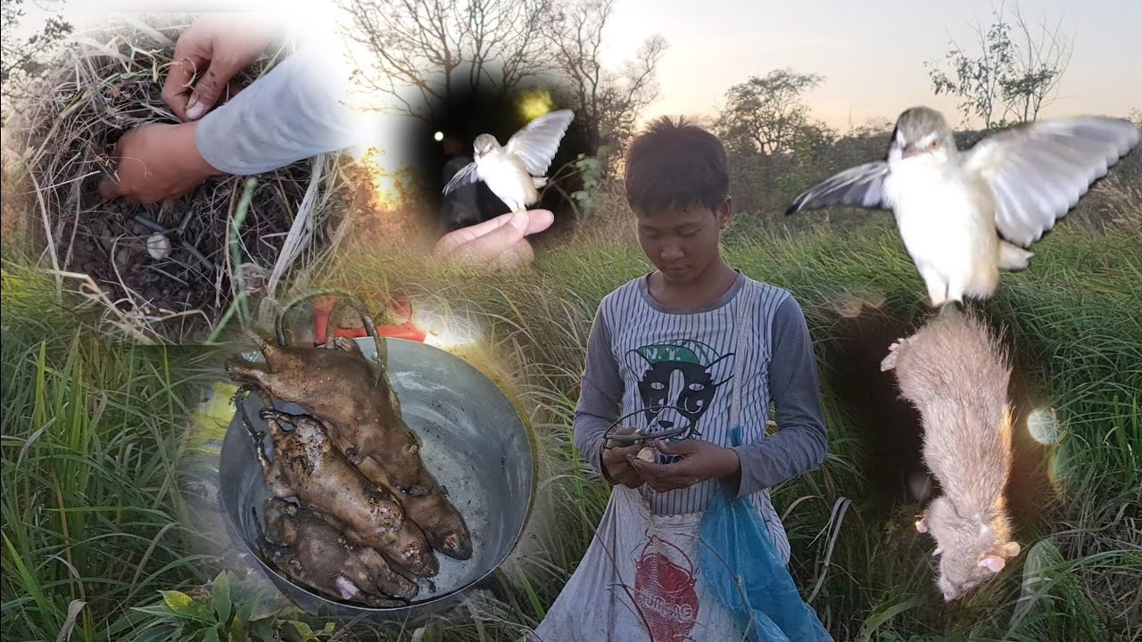 Today, come find a delicious cooking rat ...