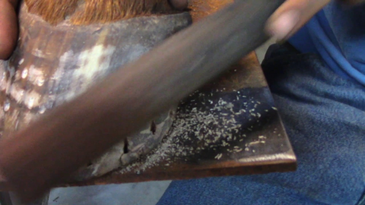 Handmade Hoof Gouge - YouTube