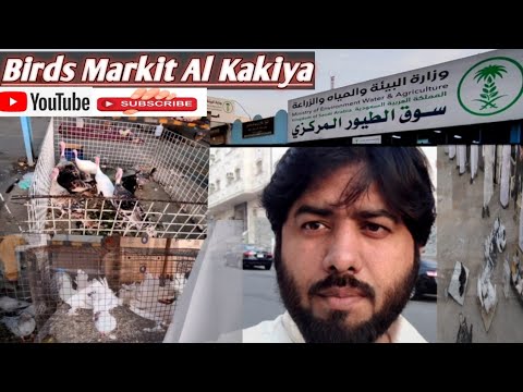 Birds Markit Al Kakiya." - YouTube