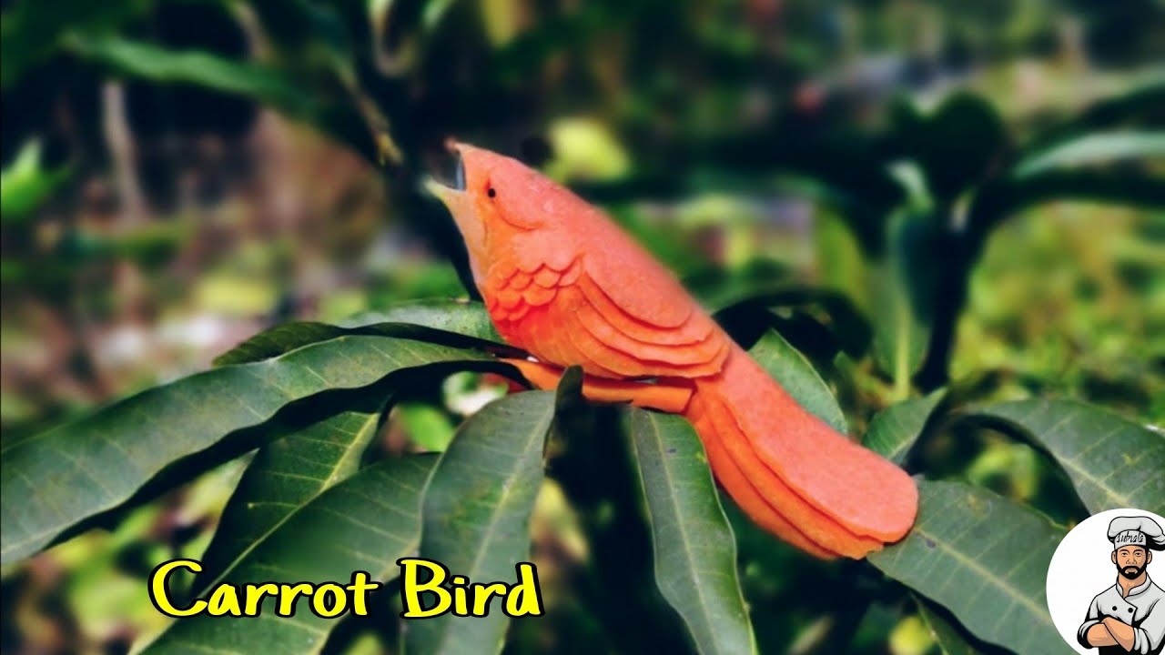 Carrot Bird / Vegetable Carving / Carrot Carving - YouTube