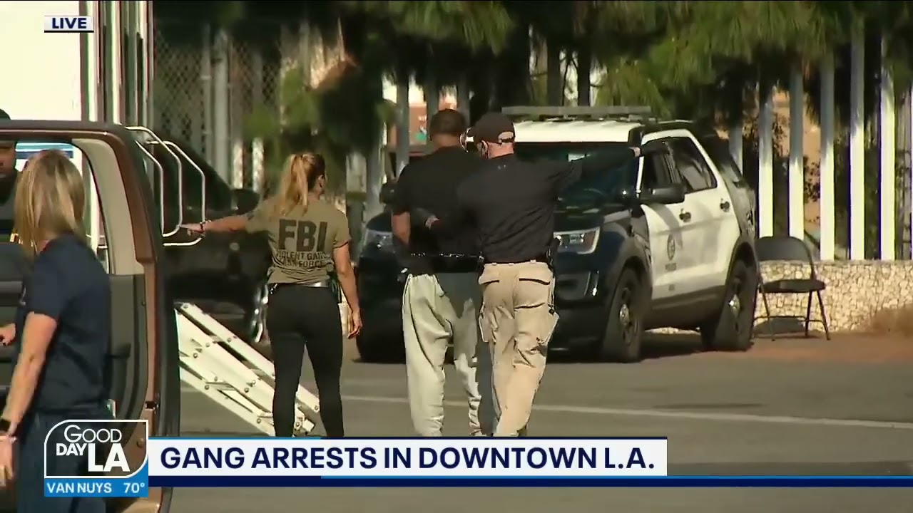 Souther California gangs arrested code name "Rabbit". - YouTube