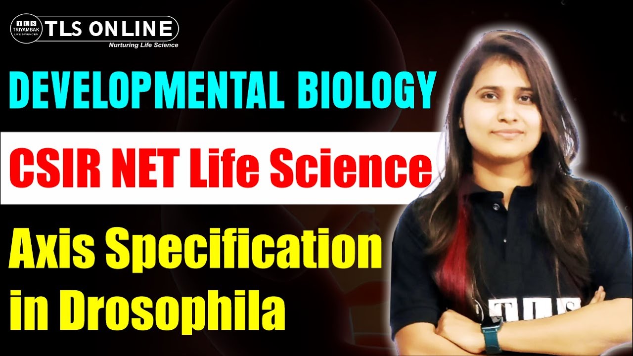 Developmental Biology - 𝐀𝐱𝐢𝐬 𝐒𝐩𝐞𝐜𝐢𝐟𝐢𝐜𝐚𝐭𝐢𝐨𝐧 𝐢𝐧 𝐃𝐫𝐨𝐬𝐨𝐩𝐡𝐢𝐥𝐚 - CSIR NET ...
