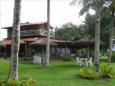 ninho da roxinha - YouTube