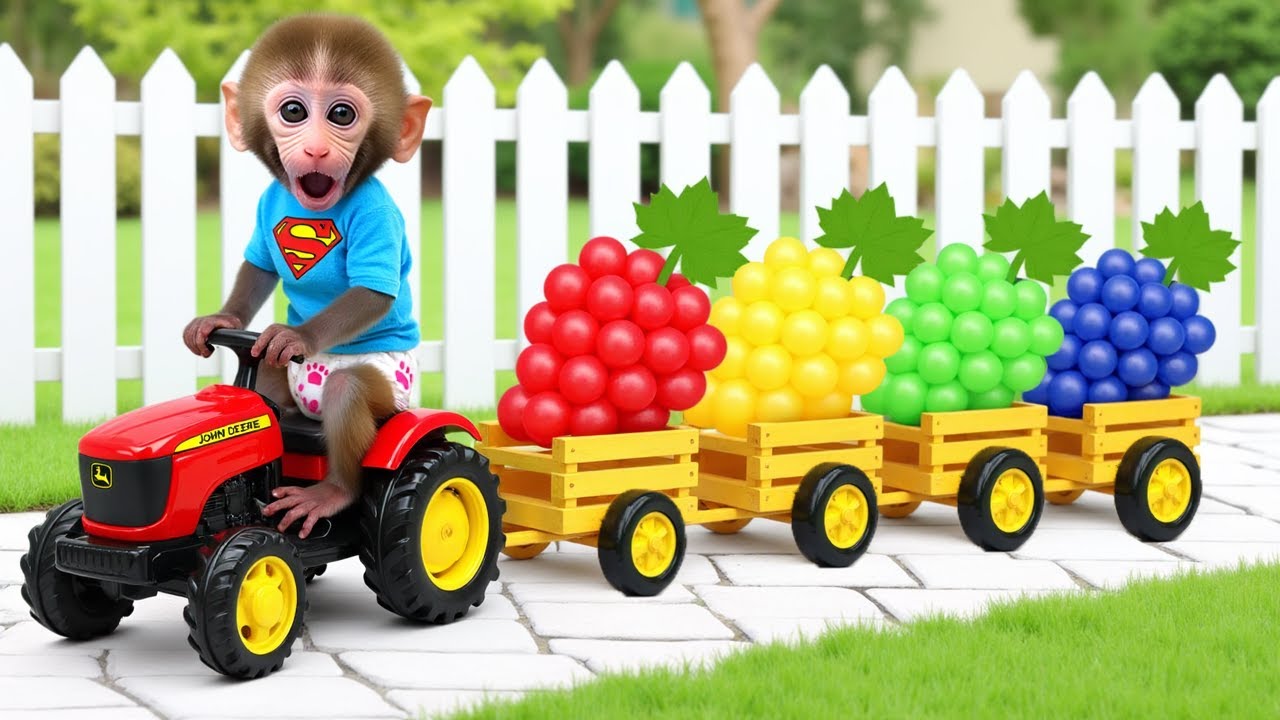 Bebé Mono Bon Bon hace uvas de colores y come con el monito lindo en el ...