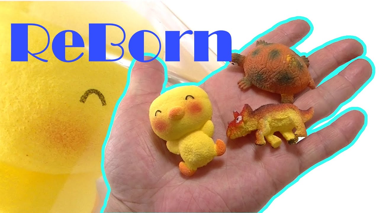 Grow Magic Dinosaurs Turtles Chicks! Dinosaurs Toys - YouTube