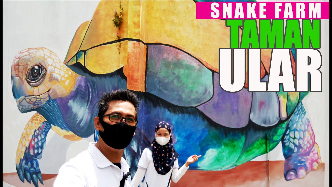 Taman Ular dan Bustana Kucing Perlis explore dan review | Biggest Snake ...