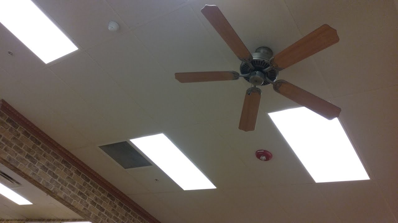 Regency Ceiling Fans At Subway | Shelly Lighting