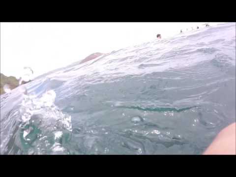 Snorkeling en la isla Salango, Puerto Lopez, Ecuador - YouTube