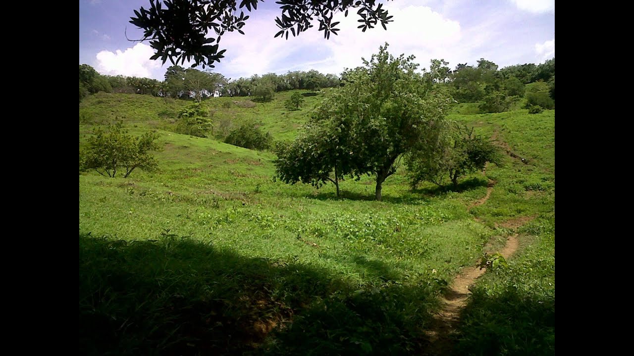 La Macoca - Banda 19 de Marzo de Laguneta - YouTube