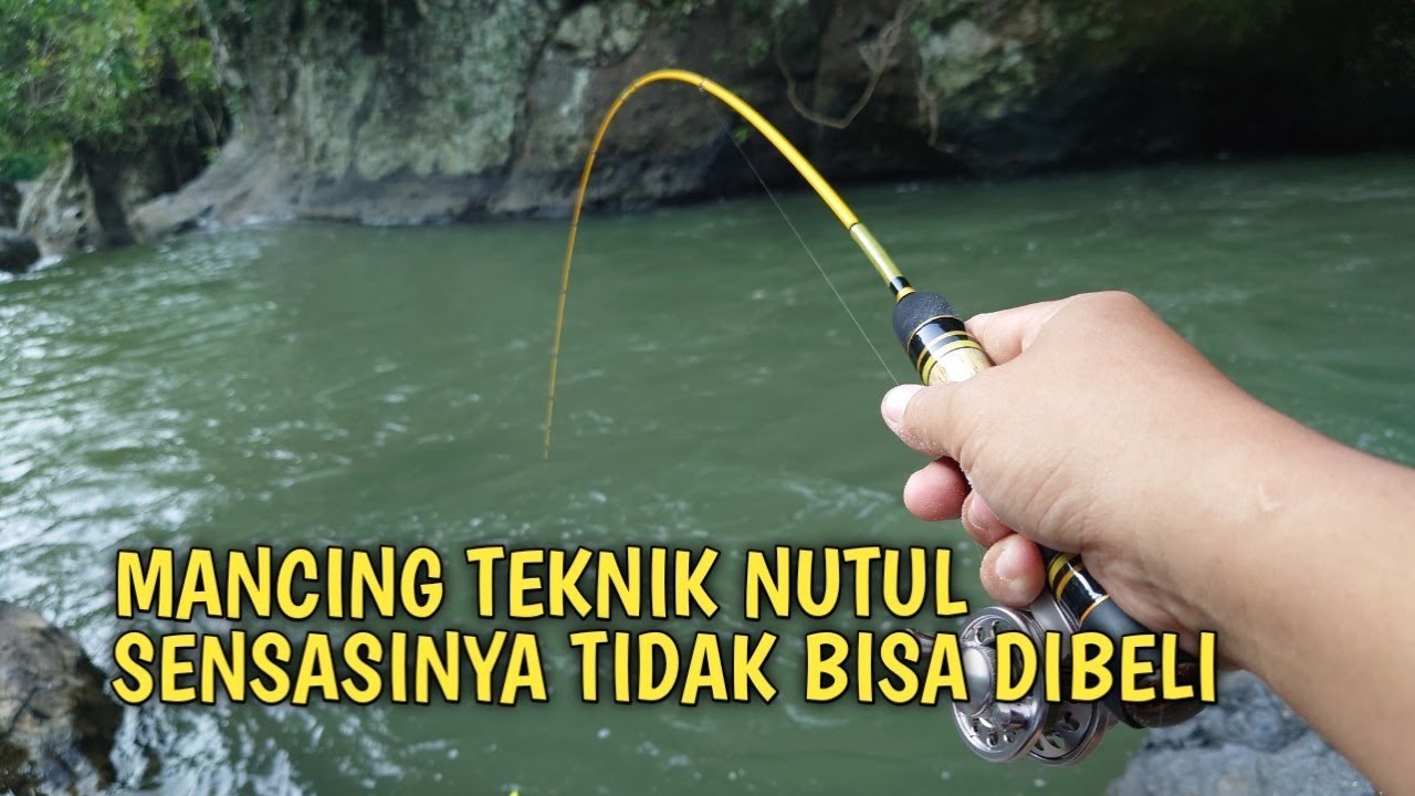 Sudah terbukti lulus pakai settingan dan umpan ini!! Mancing melem dan ...