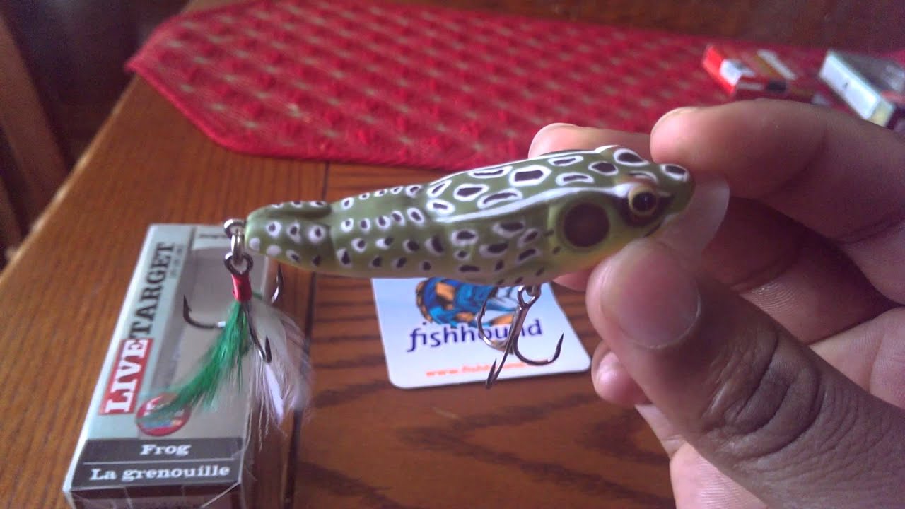 Fishhound.com Kopper Live Target Popper Frog - YouTube