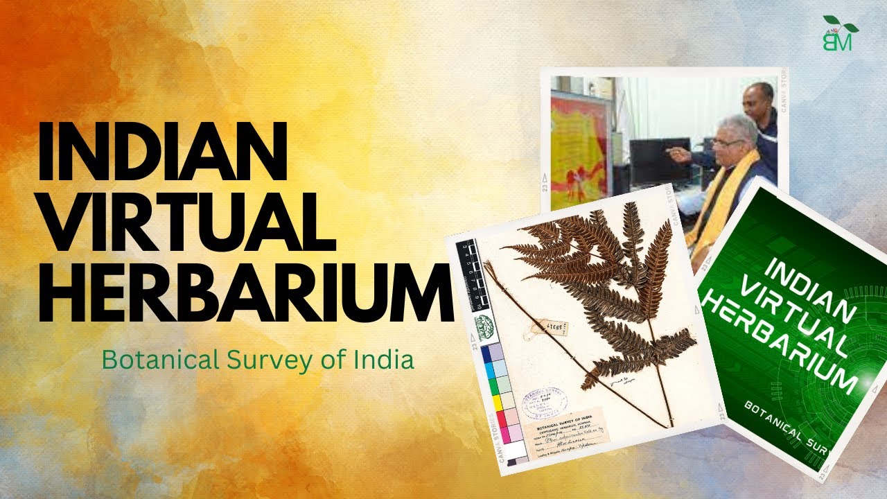 INDIAN VIRTUAL HERBARIUM | BOTANICAL SURVEY OF INDIA - YouTube