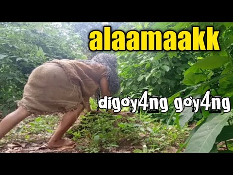 terekam kamera sepasang mante Wiki Wiki sambil makan rambutan