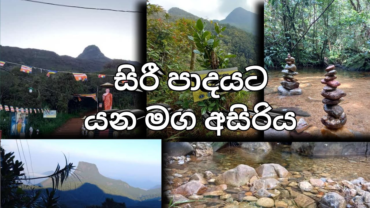 සිරීපාදයට යන මග අසිරිය | Traveling | Siripadhaye asiriya | Siripadhaya ...
