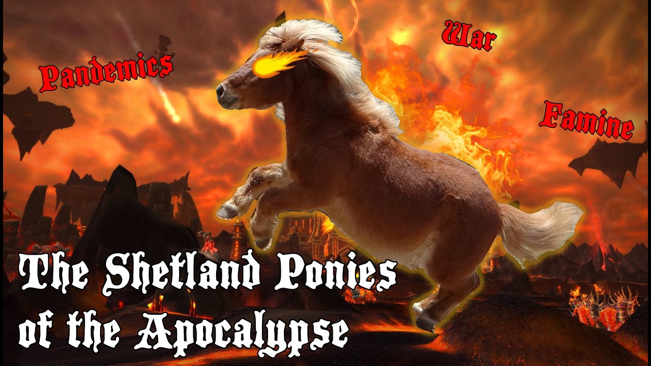 The 4 Shetland Ponies of the Apocalypse #2 | Matt Crane - YouTube