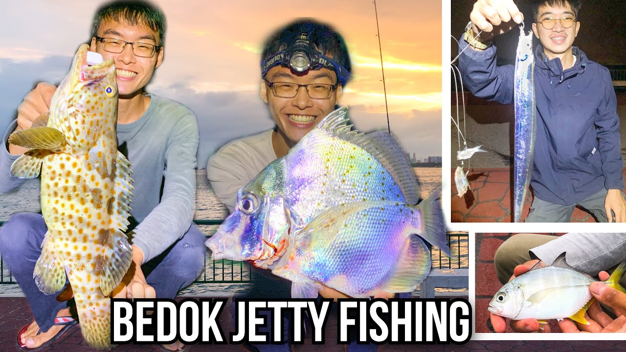 Bedok Jetty Fishing | Groupers, Sicklefish and Beltfish Season - YouTube