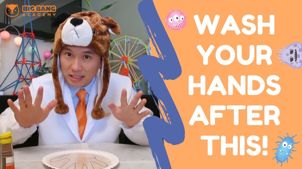 Fun Science Experiment with Professor Bear - Bacteria Go Away! - YouTube