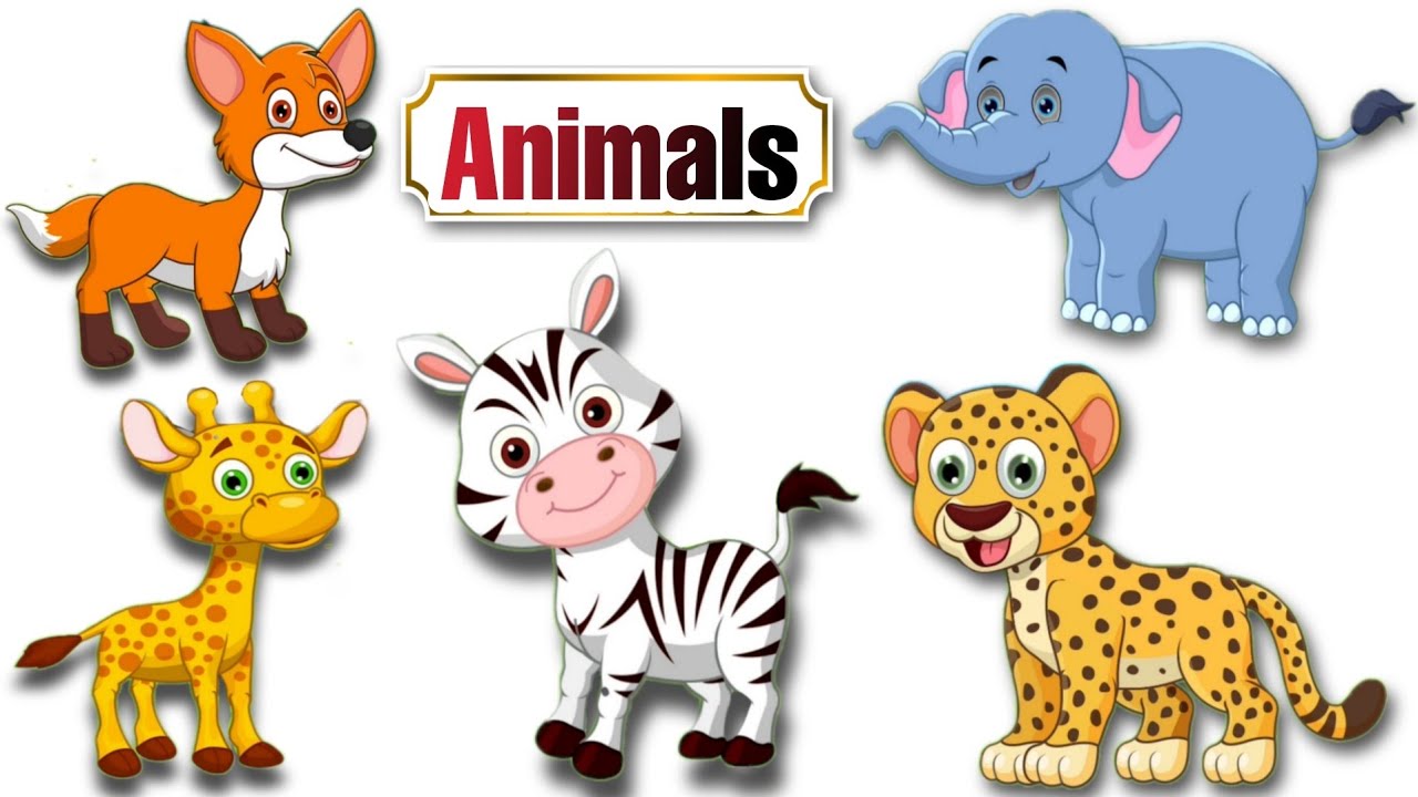 Animals for kids learning | animals animated figure for kids | kids ...