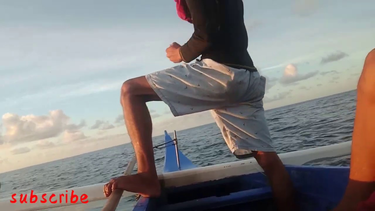 EP-1 Fishing aloy(tulingan) Yellowfin tuna/skipjack tuna/buhay isla ...