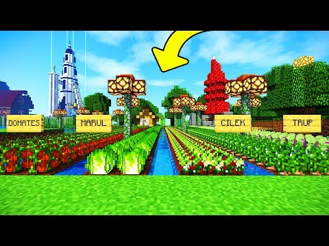 YENİ TARLA DÜZENİ VE KONUK YOUTUBER - TARIMCRAFT #4 - Minecraft