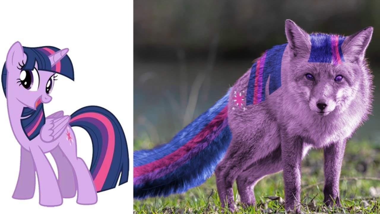 MLP My little pony Twilight Sparkle Fox - YouTube