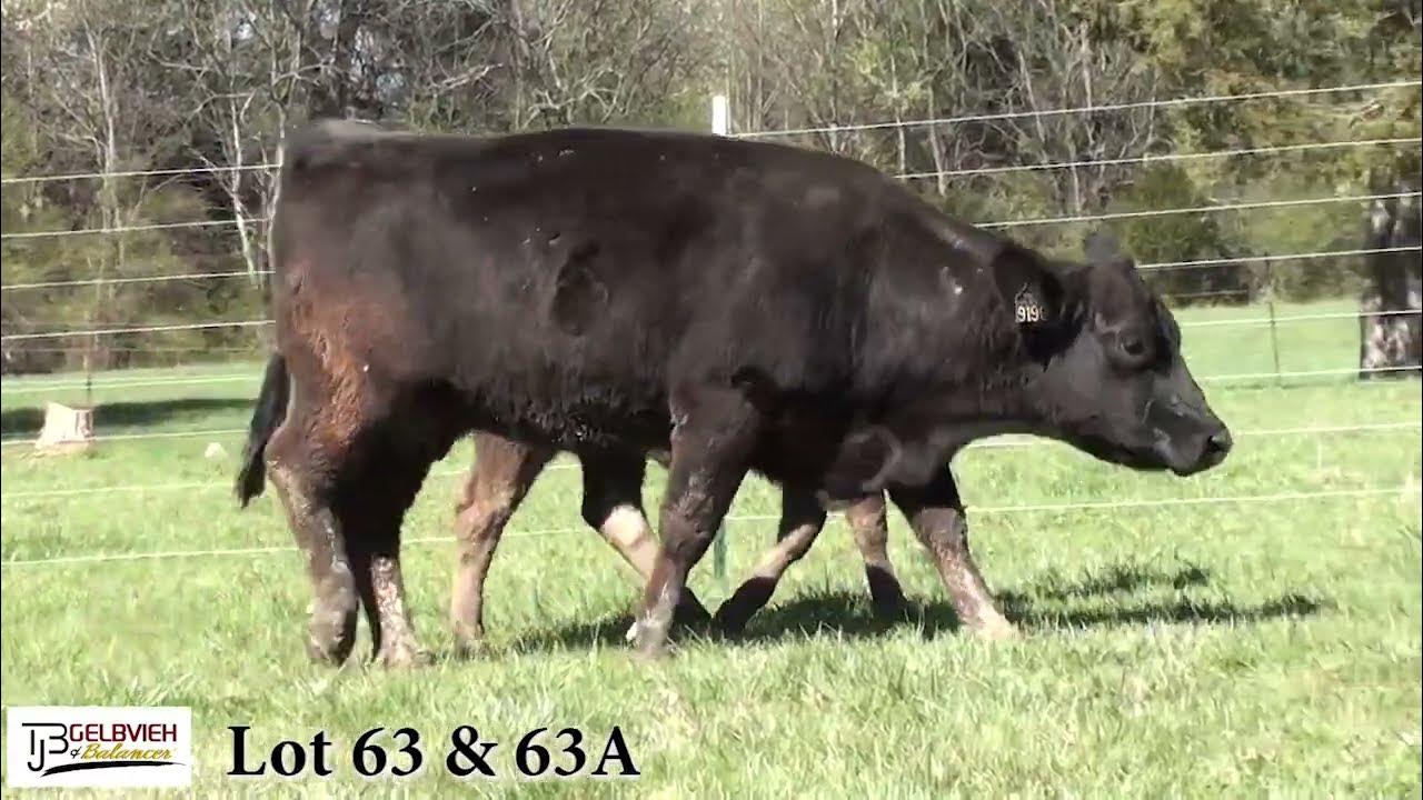 Lot 63 & 63A - YouTube