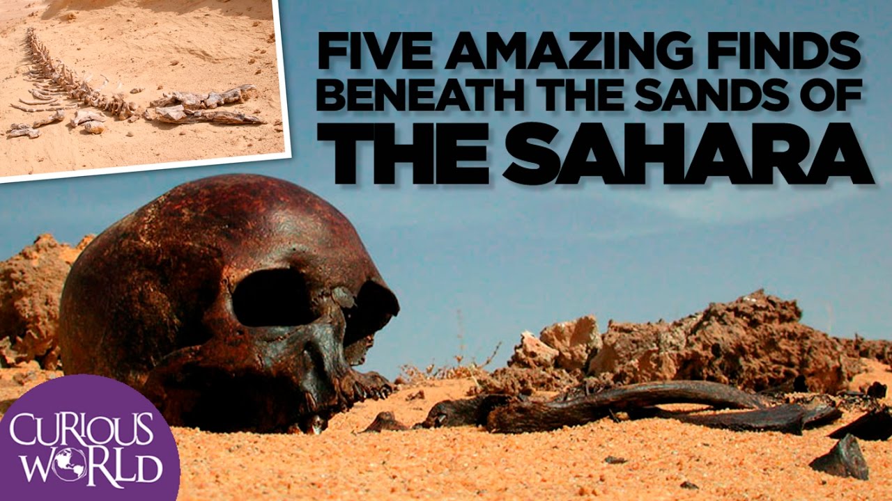 5 Amazing Finds Beneath the Sands of the Sahara - YouTube