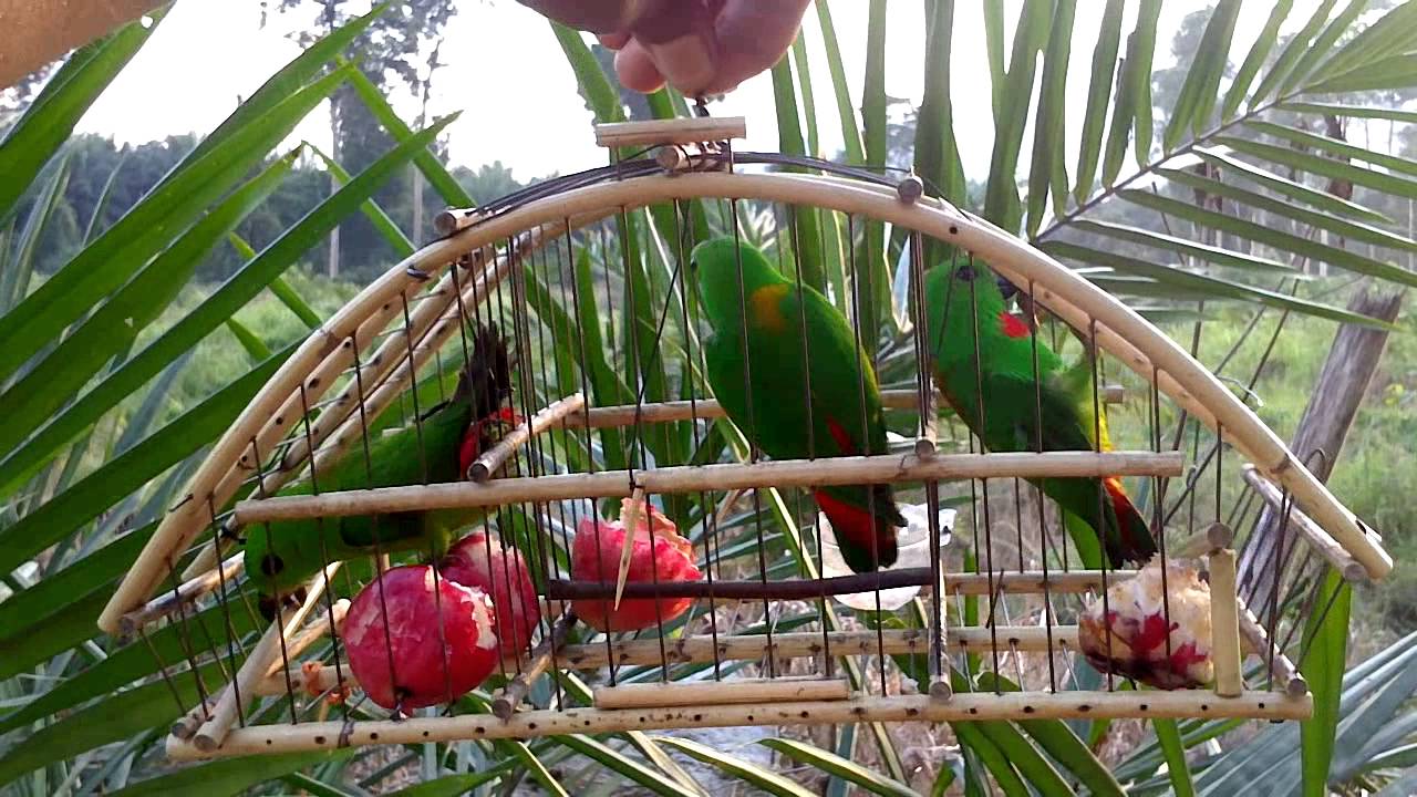 serindik power - YouTube