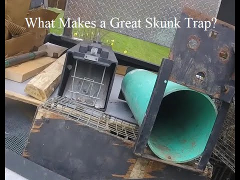 What is the Best Skunk Trap? | Skunk Specific Trap | No Spray - YouTube