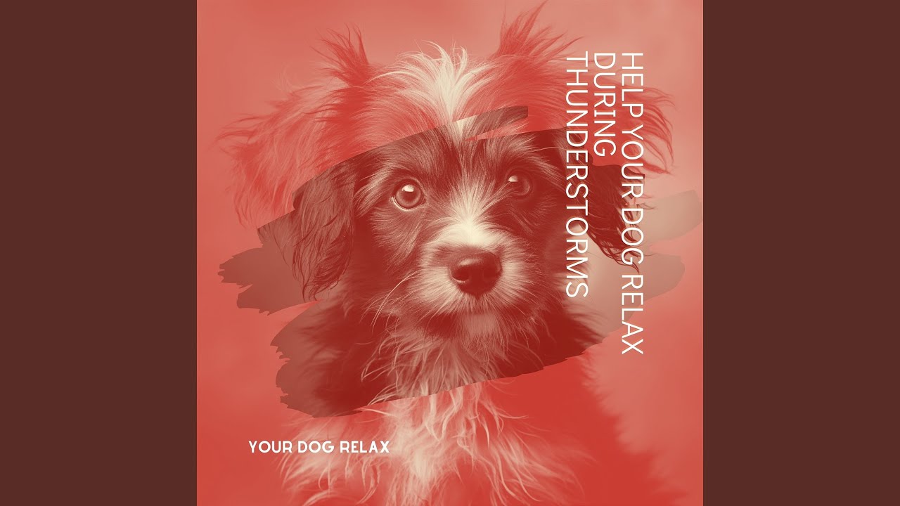 Woof Waves - YouTube