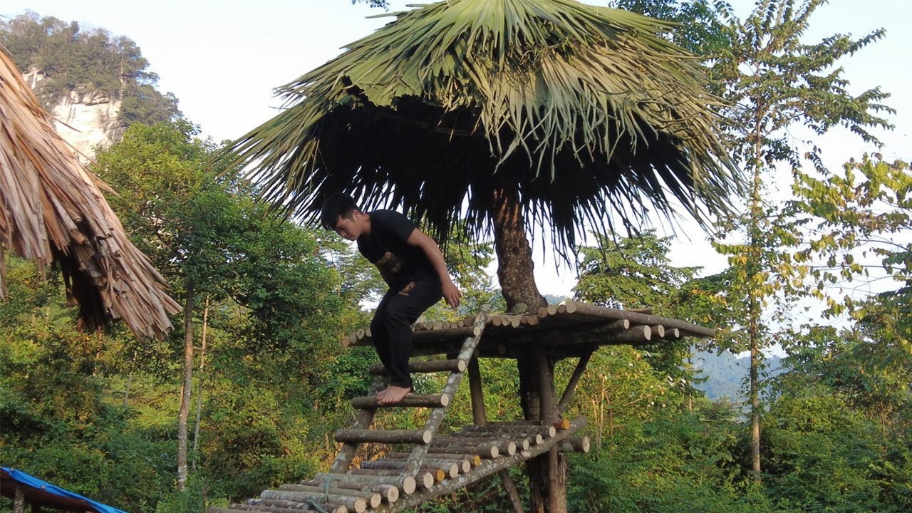 Build a relaxing hut in the tree - Wooden house, Leaf Roof, green ...