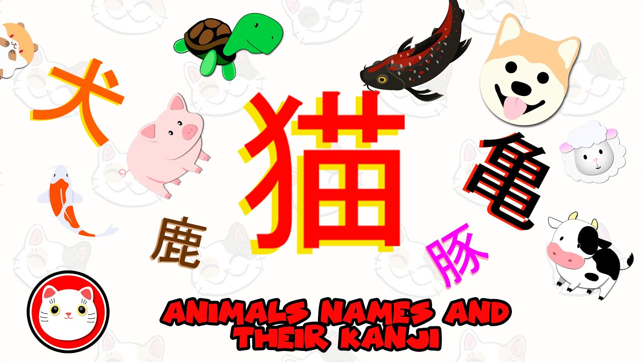 ANIMALS IN JAPAN AND THEIR KANJI. ENJOY WITH FAMILY! - YouTube