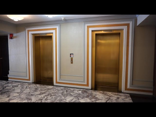 Fancy Elevator