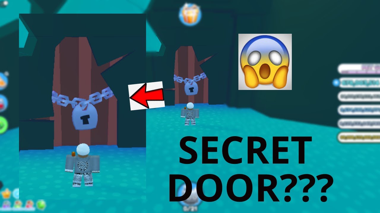 Secret Door in Fantasy World??? | Pet Sim X Hardcore Update - YouTube