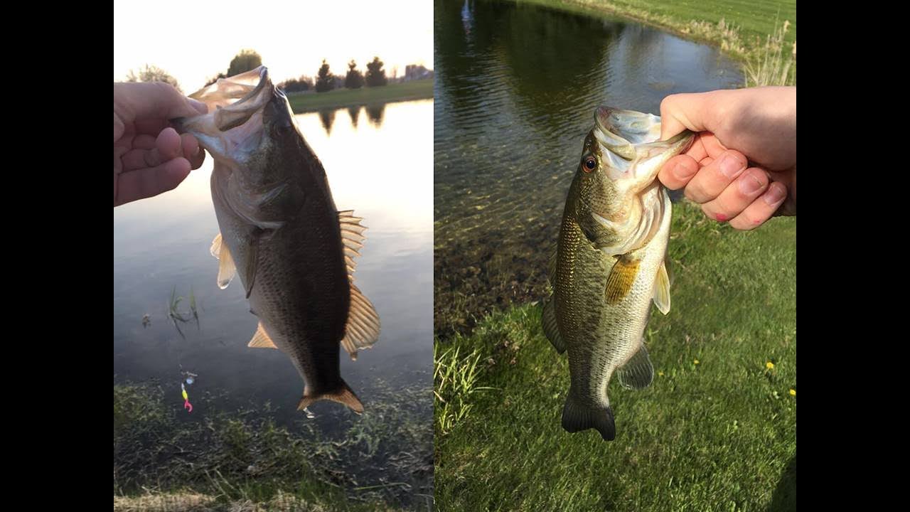 bass fishing with a broken leg 2017 - YouTube